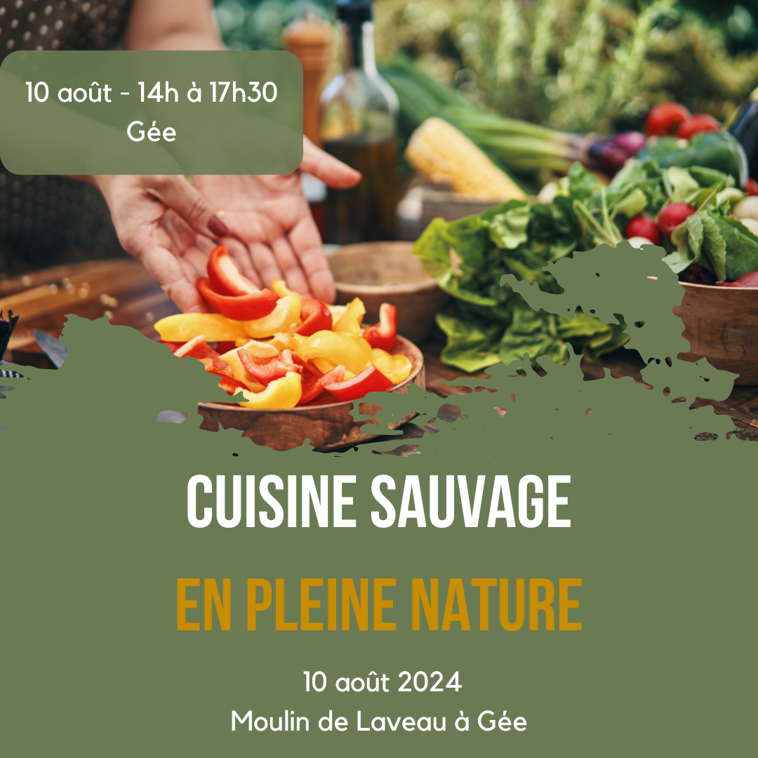 Cuisine sauvage en pleine nature